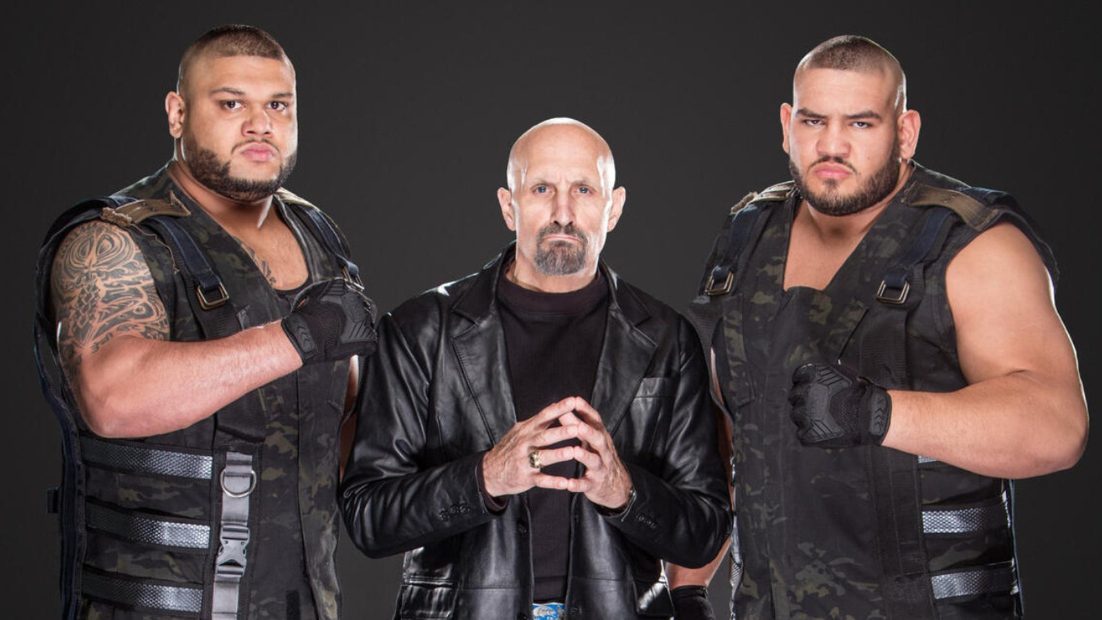 Paul Ellering Comments On WWE Release: 'The Sun Shines On A Clear And ...