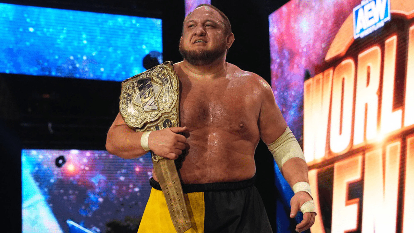 Possible new AEW World Championship revealed | Page 2 | Wrestling Forum