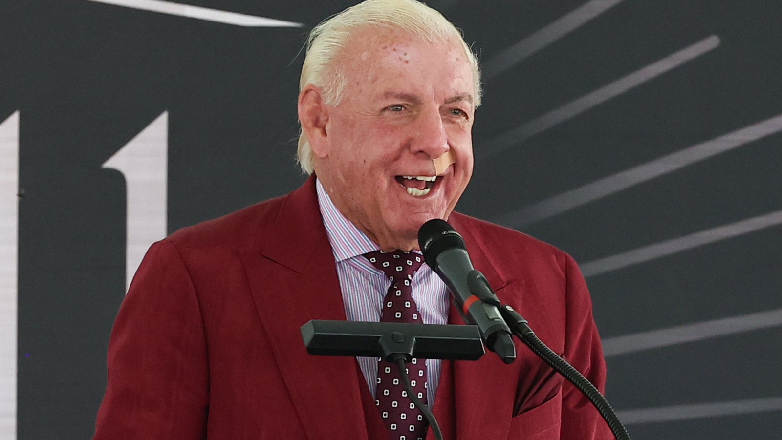 Ric Flair Discusses Continuing With AEW After Sting's Retirement