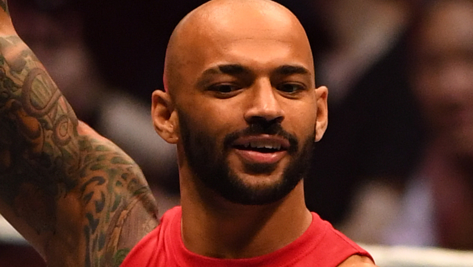 Ricochet Gets Six Stitches 'And A Lump' For Christmas