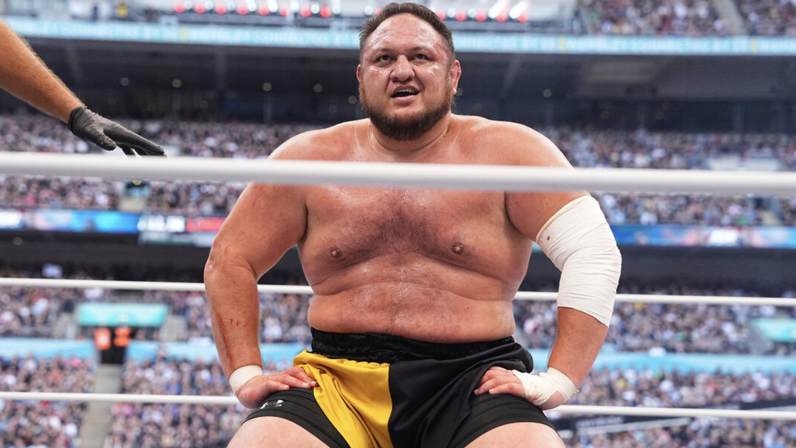 Samoa Joe Vs. Shane Taylor For ROH World Television Title Announced For AEW All Out