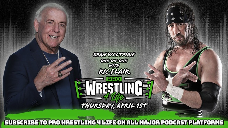 Sean Waltman Apologizes To Ric Flair For WCW "Slap Incident"