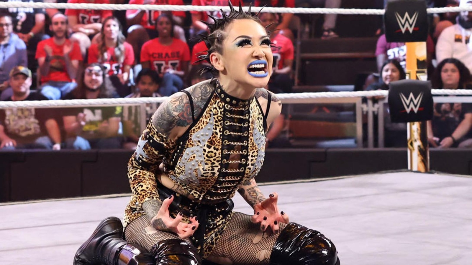 Shotzi Goes On The Record About Shaving Her Head As Part Of WWE ...