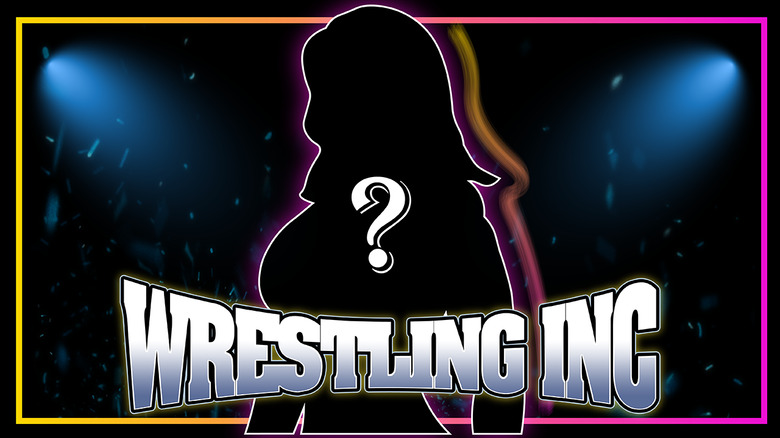 Spoiler New Match Announced For Wwe Evolution