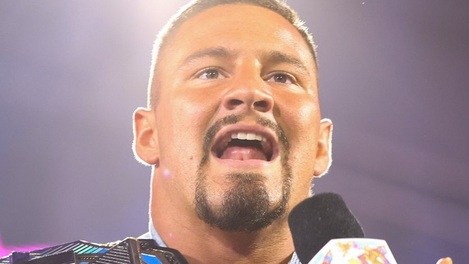 Steiner Family To Reunite On WWE Programming