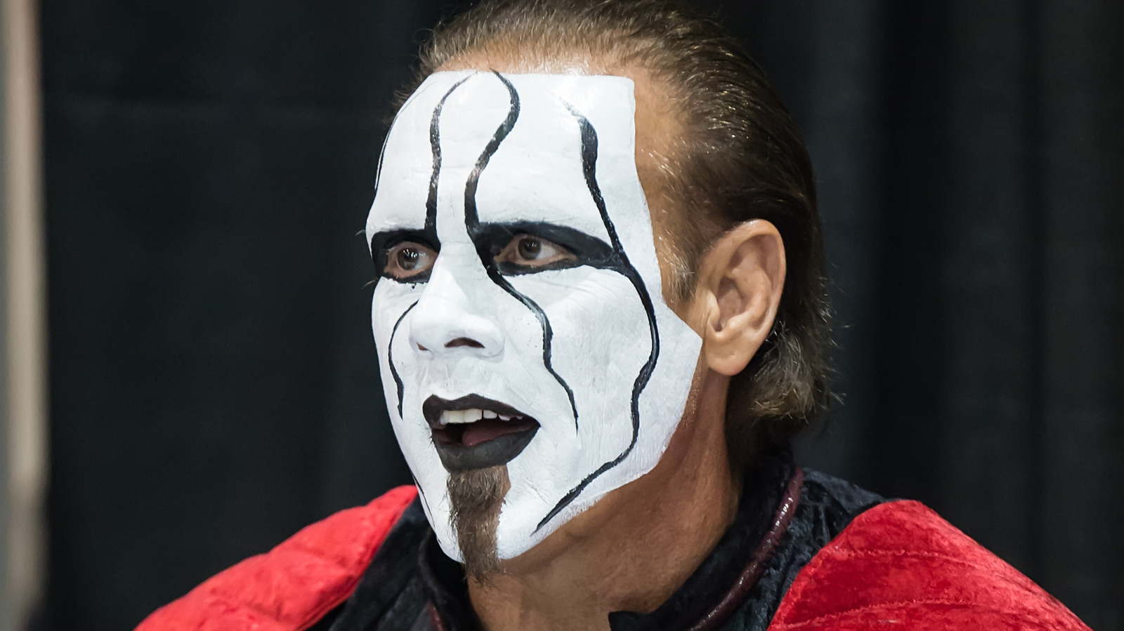 Wwe Sting No Makeup