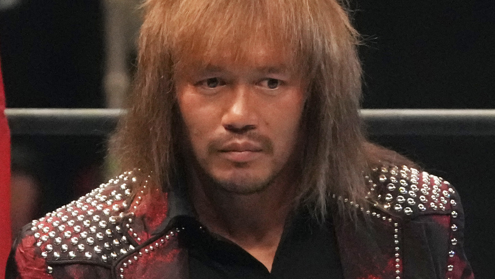 Tetsuya Naito's Instagram, Twitter & Facebook on IDCrawl