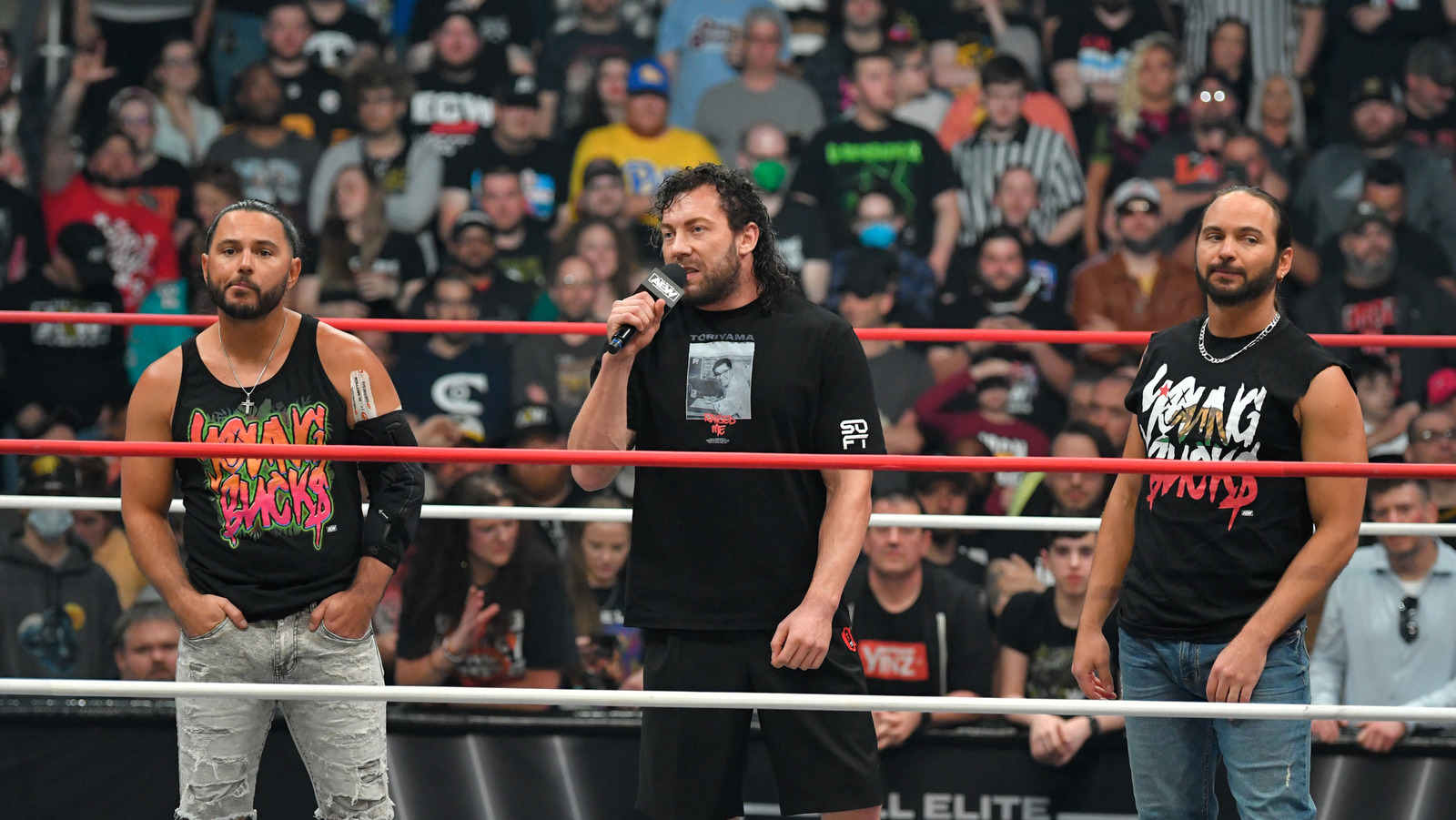 The Elite WIll Reportedly Appear In Pre-Taped Segments On AEW Dynamite