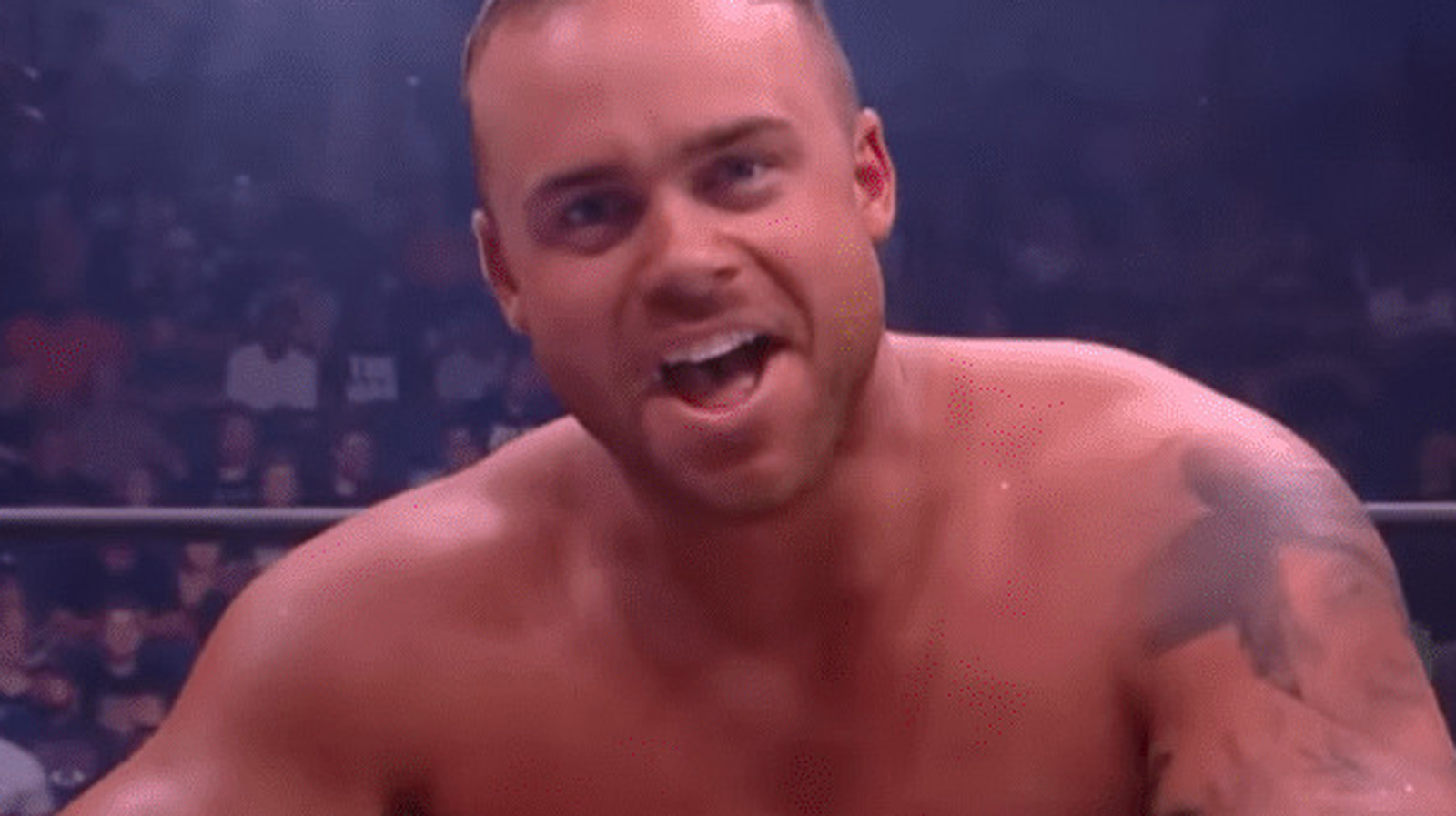 The Gunns To Defend Tag Titles Against The Acclaimed And Others At ...