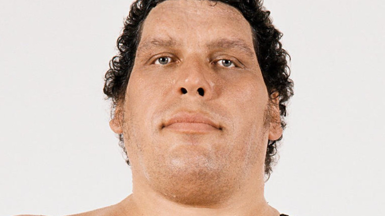 The Myth Behind Andre The Giant's Anesthesia Story