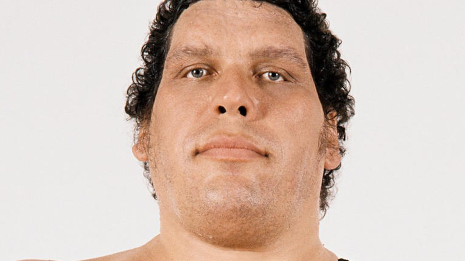 The Myth Behind Andre The Giant's Anesthesia Story