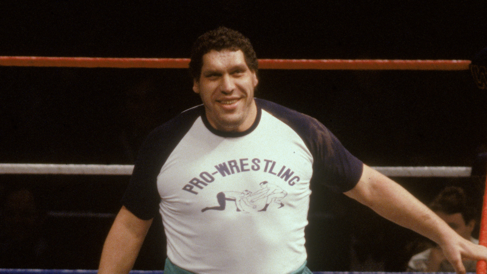 The Myth Behind Andre The Giant's Anesthesia Story