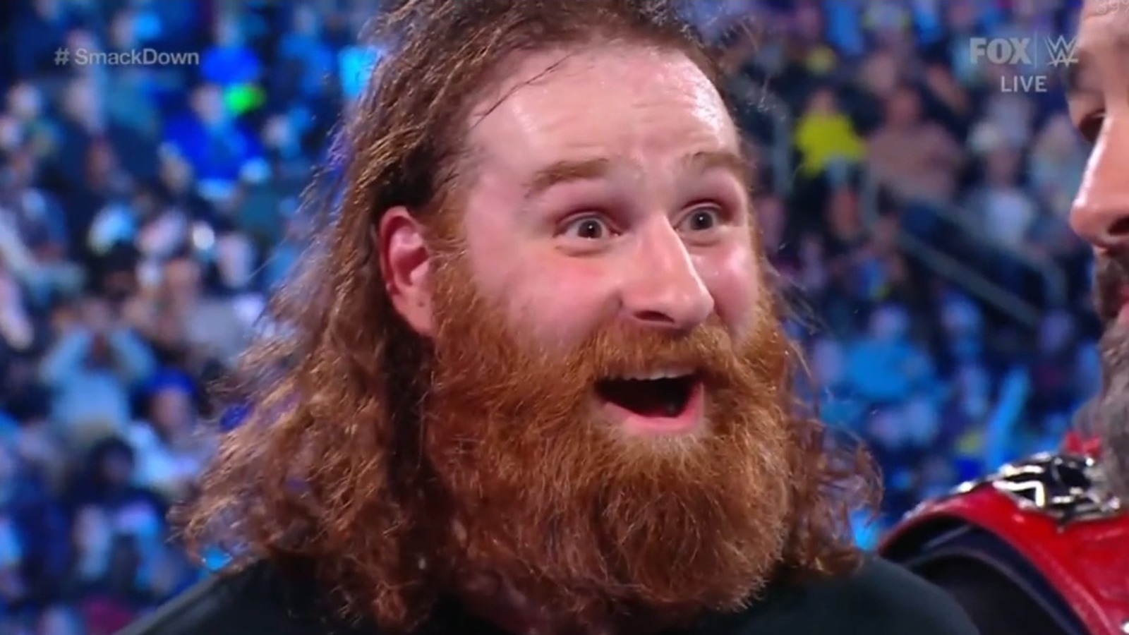 There Could Be A Rank Above 'Honorary Uce' For Sami Zayn