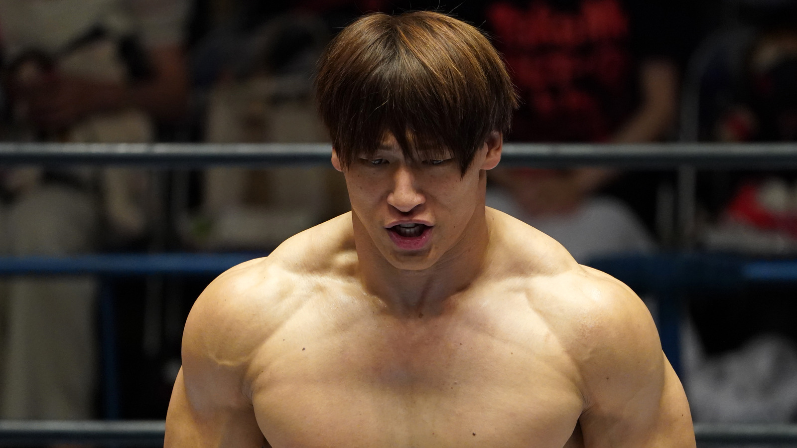 Update On AEW Star Kota Ibushi's Injury