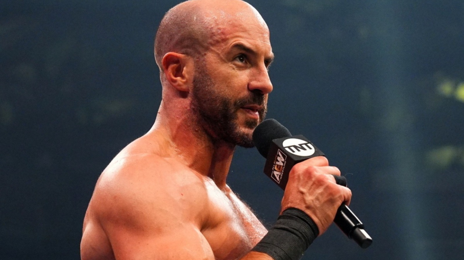 Update On Claudio Castagnoli's AEW Fight Forever Status