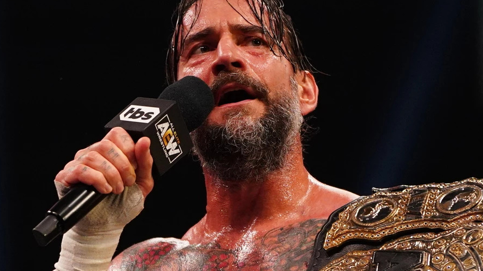 Update On CM Punk's Status For AEW Dynamite