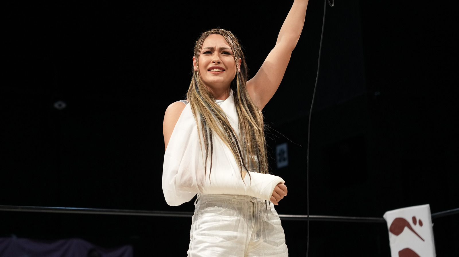 Update On The Status Of WWE Recruit Giulia Following Wrist Surgery