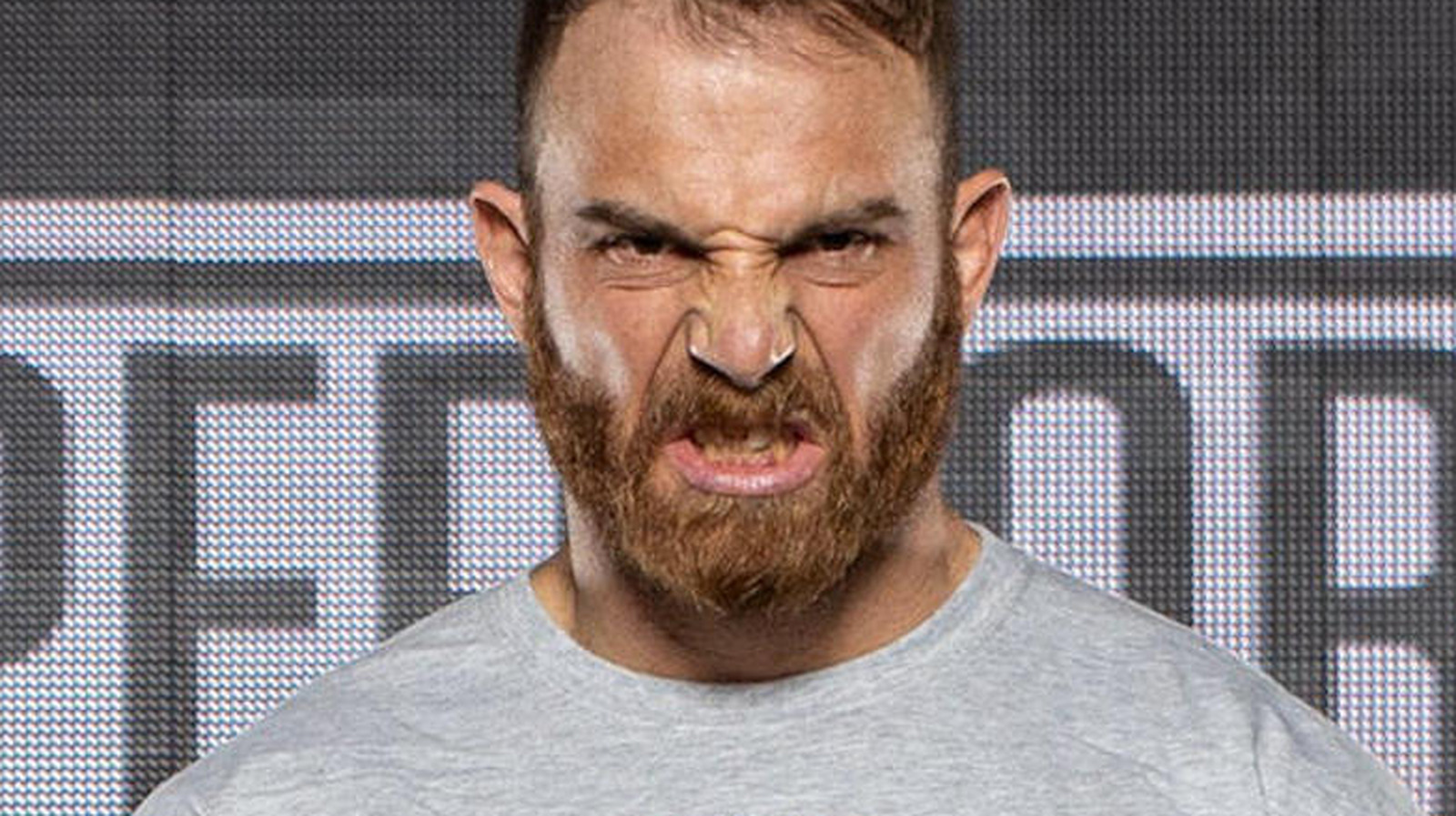 Update On Timothy Thatcher's Relationship With Triple H