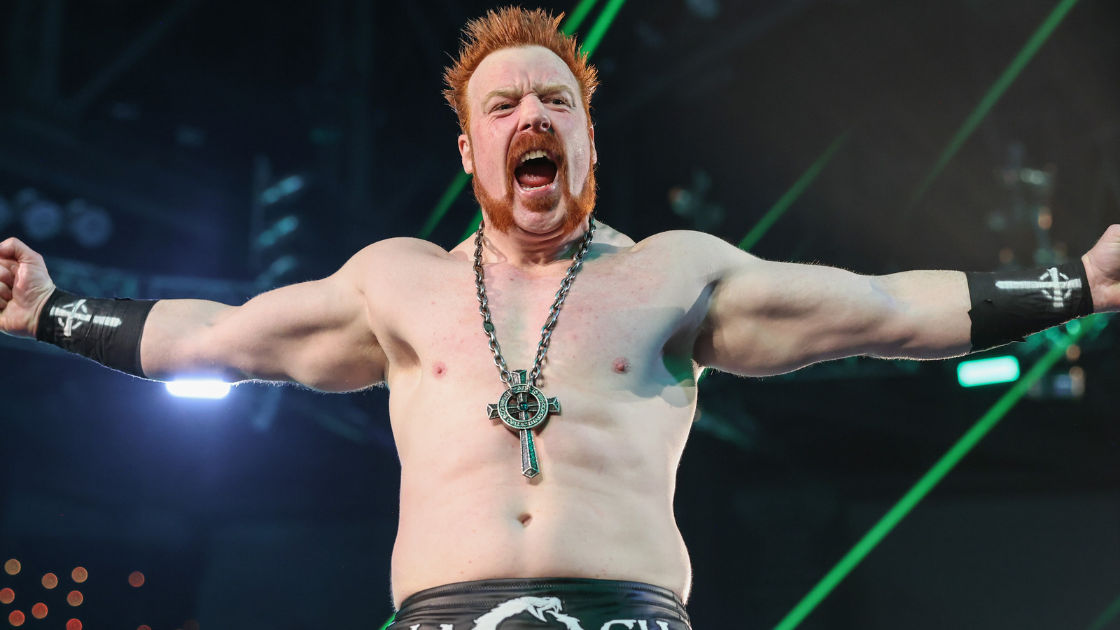 Update On WWE Contract Status For Sheamus Update On WWE Contract Status For Sheamus