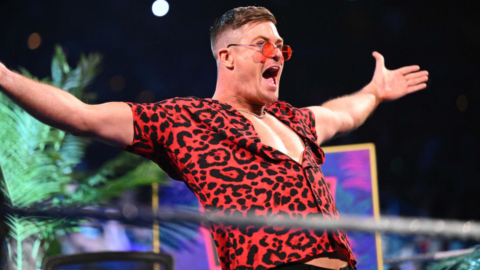 Video: Fallout Of Fan Jumping Guard Rail To Attack Grayson Waller At ...