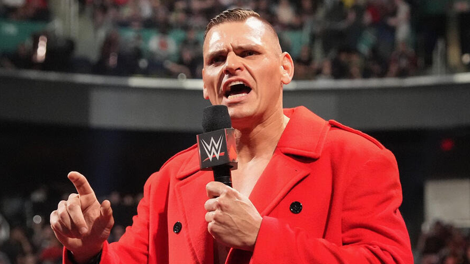 Video: GUNTHER Offers Two Words Along With Chop Montage From WWE Raw Match