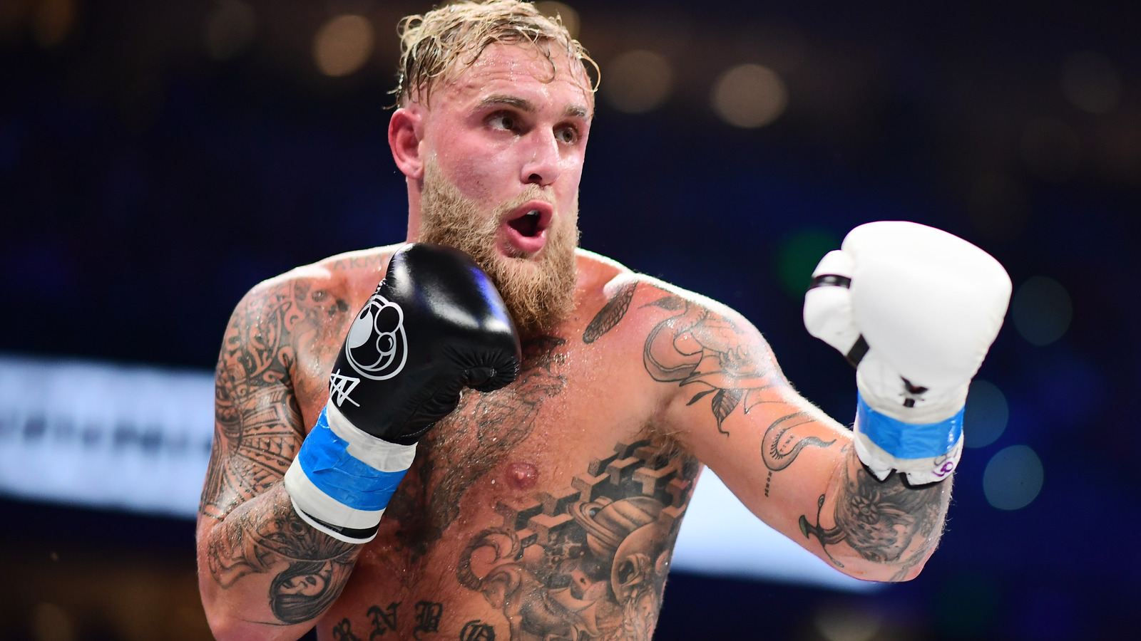 Why Booker T Advises Ex-WWE Star Bobby Lashley To Stay Away From Jake Paul