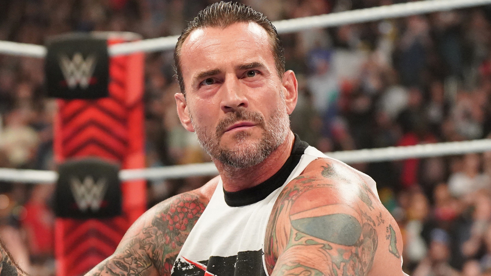 Why Jim Ross Wishes WWE Star CM Punk Was Still With AEW Why Jim Ross Wishes WWE Star CM Punk Was Still With AEW