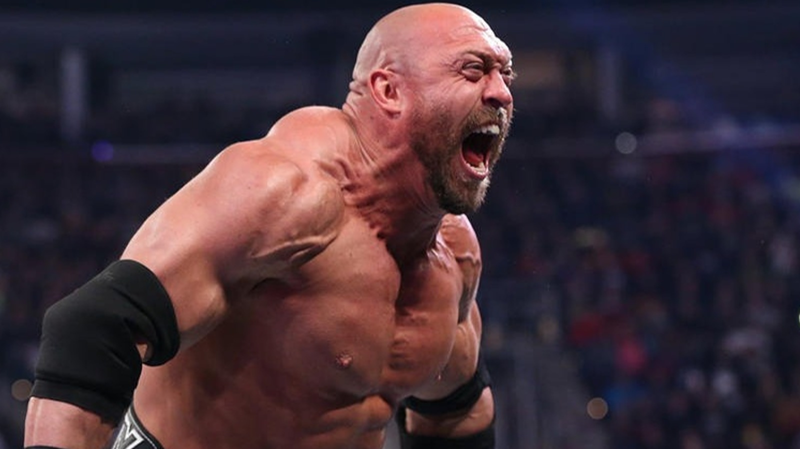 Wwe Ryback