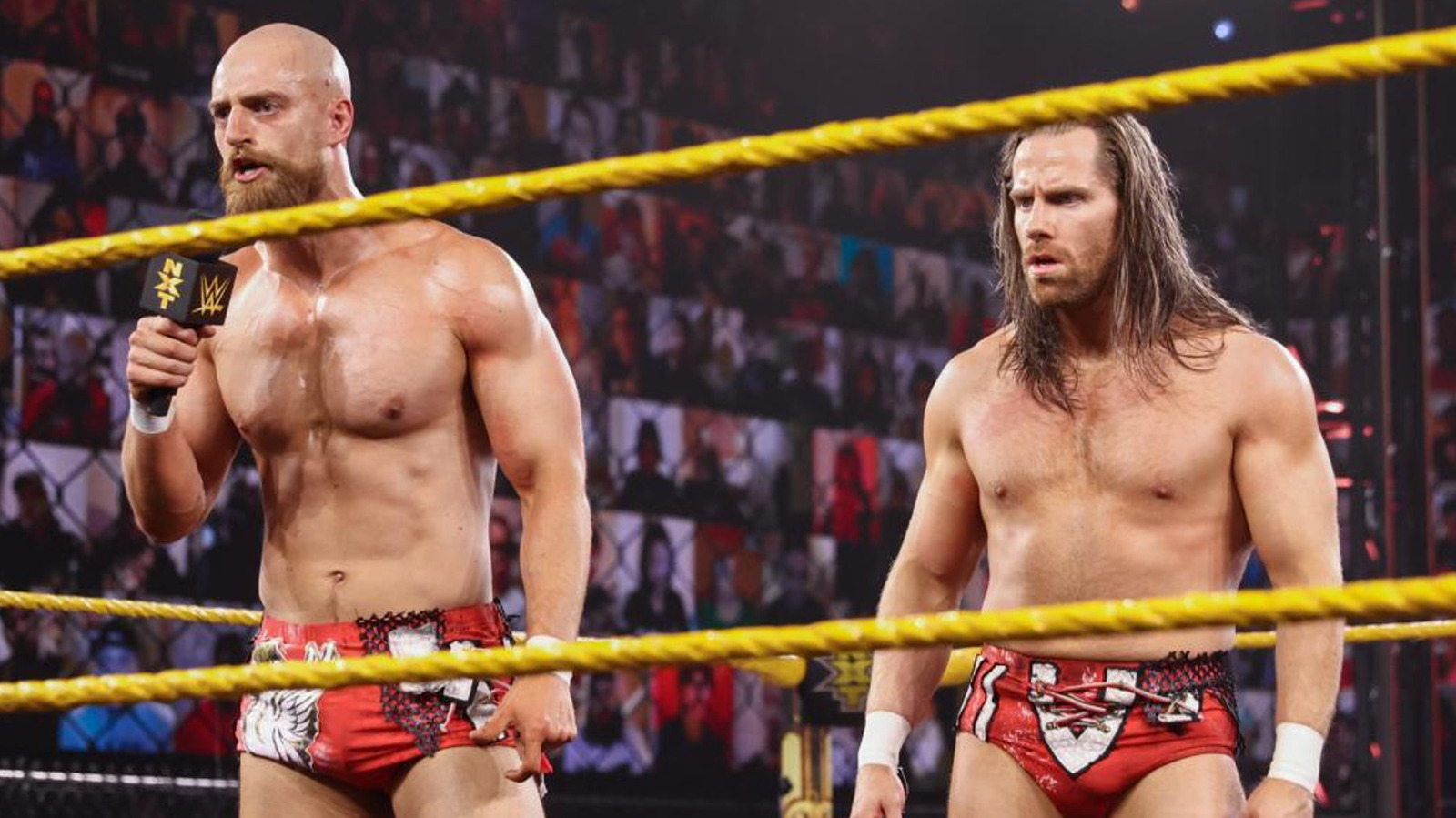 Why The Grizzled Young Veterans Felt They Needed To Leave WWE