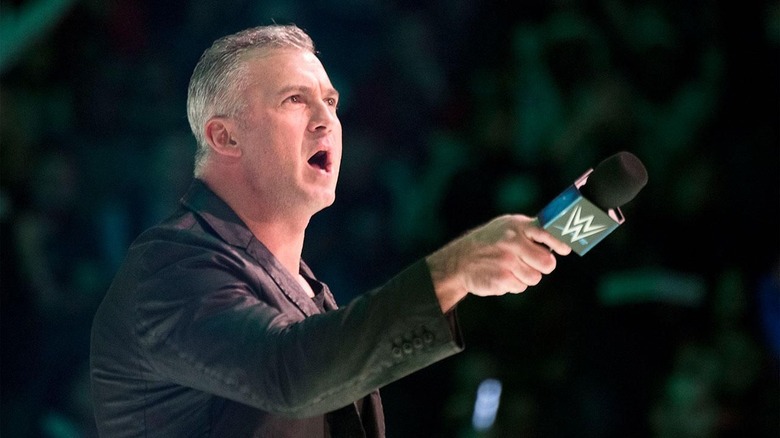 WWE Announcer Greg Hamilton Reveals Who Was Responsible For His Shane ...