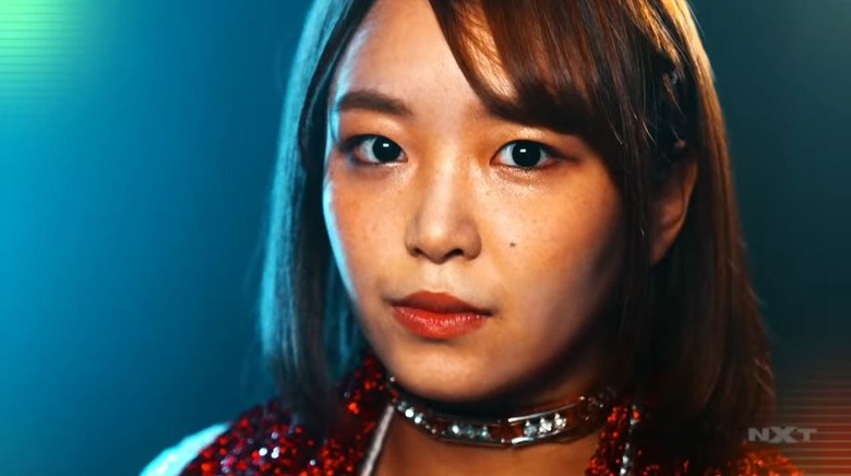 WWE Files To Trademark New Names For Sarray