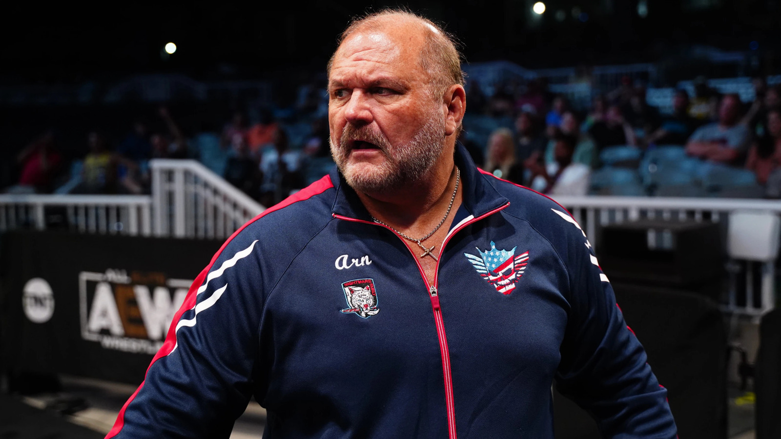 WWE Hall Of Famer Arn Anderson Addresses Son Brock's Time In AEW