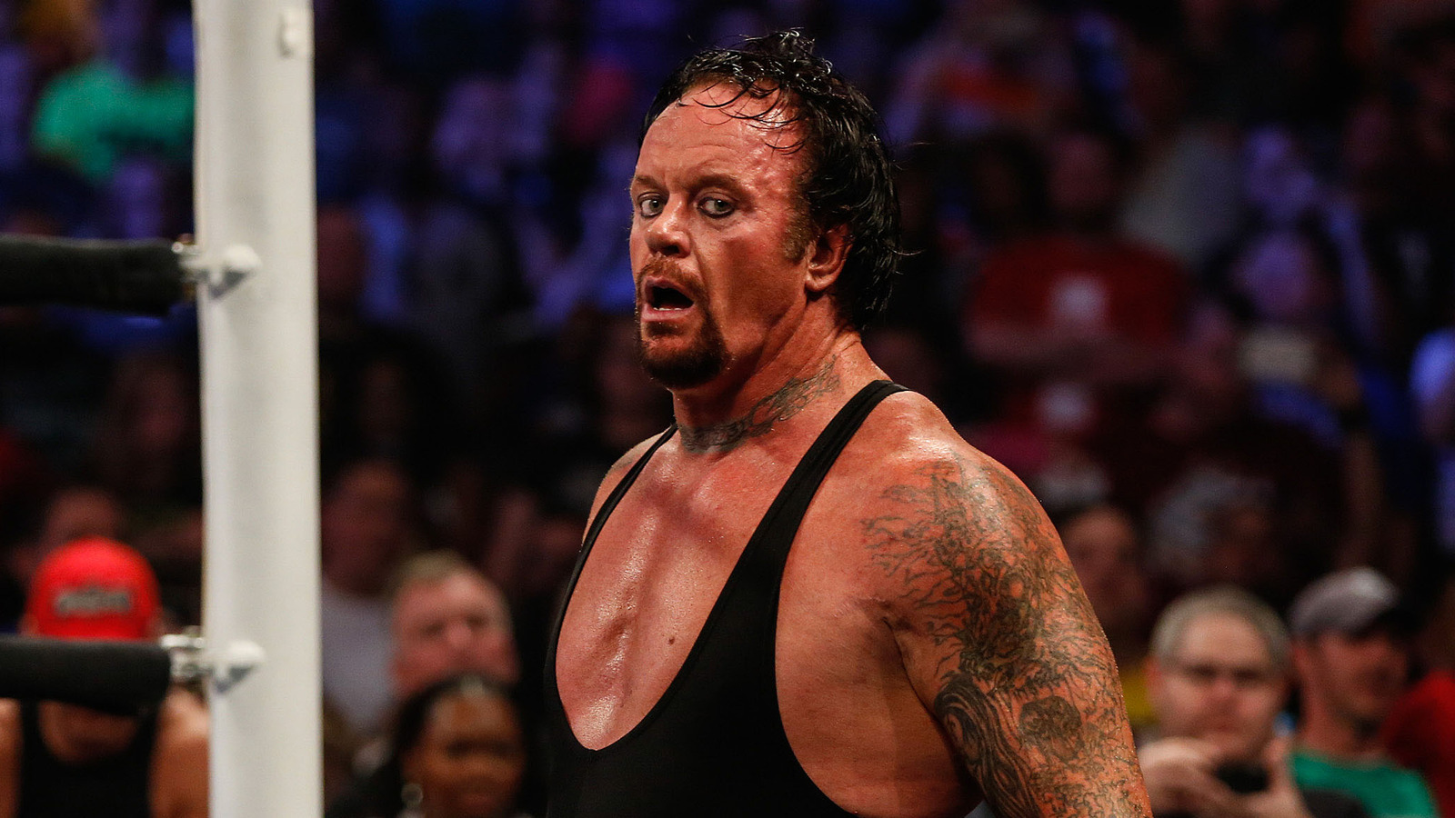 WWE Hall Of Famer Arn Anderson Addresses The Undertaker's WrestleMania Streak