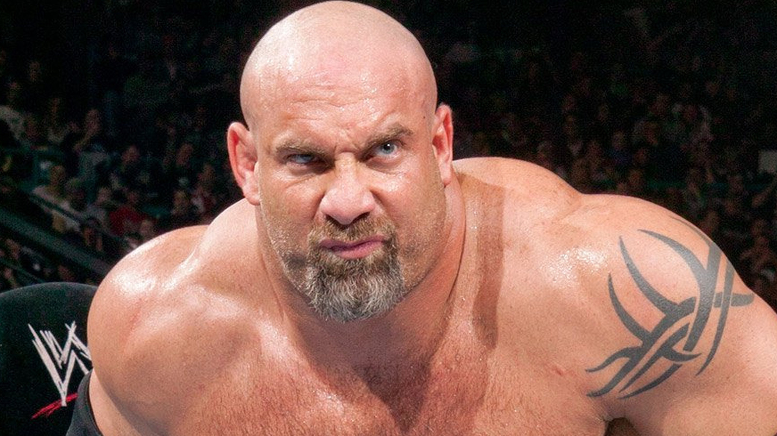 WWE Hall Of Famer Goldberg Explains Who Taught Him The Business Of Pro ...