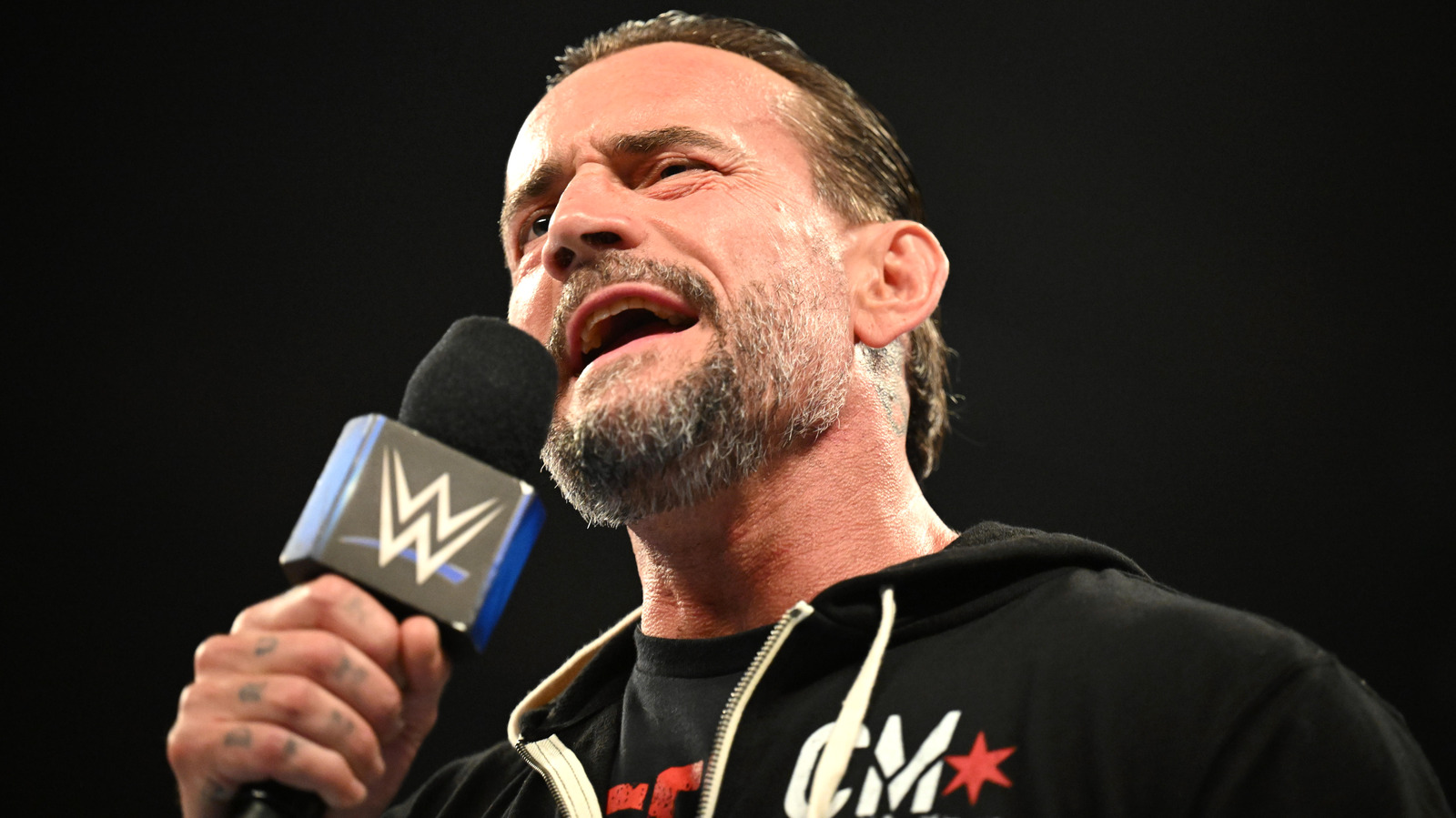 WWE NXT Star Praises CM Punk's Backstage Influence