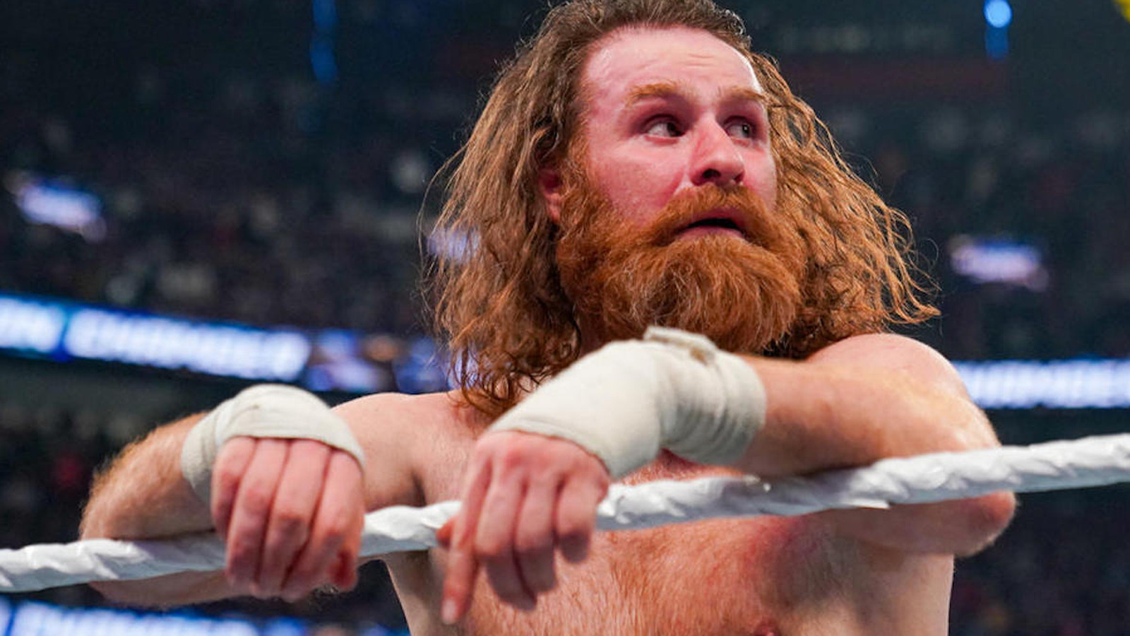 WWE Shares Brutal Photos Of Sami Zayn's Back Following Match With Roman ...
