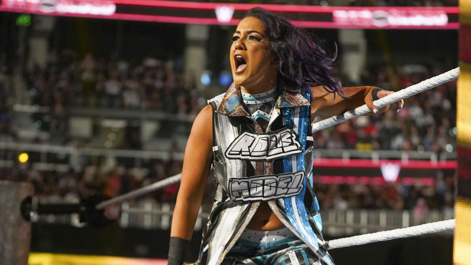 WWE Star Bayley Looks Back On Destruction Of The Bayley Buddies