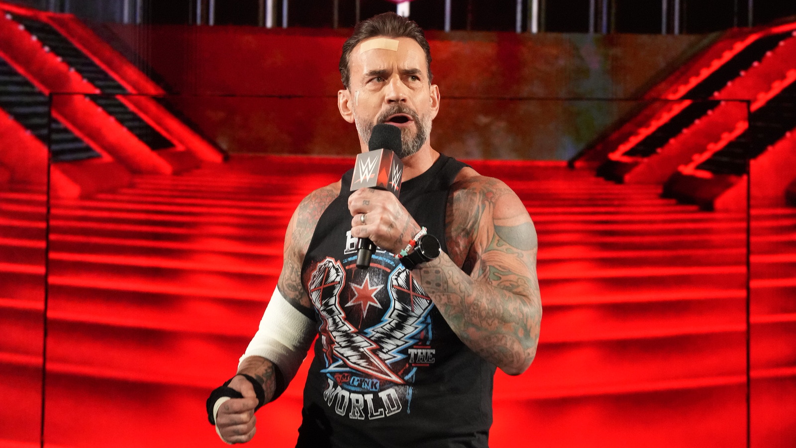 WWE's CM Punk Names Current Wrestling Talent He'd Want As Backup In A ...
