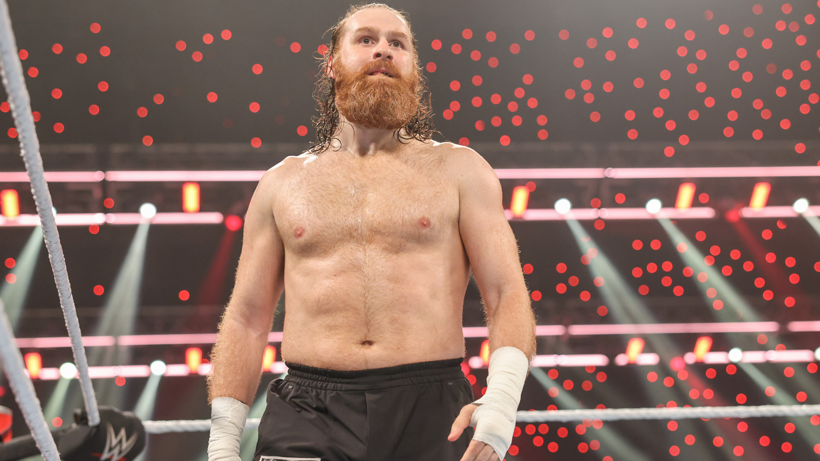 WWE's Sami Zayn Reacts To Being The Underdog As Intercontinental Champion WWE's Sami Zayn Reacts To Being The Underdog As Intercontinental Champion