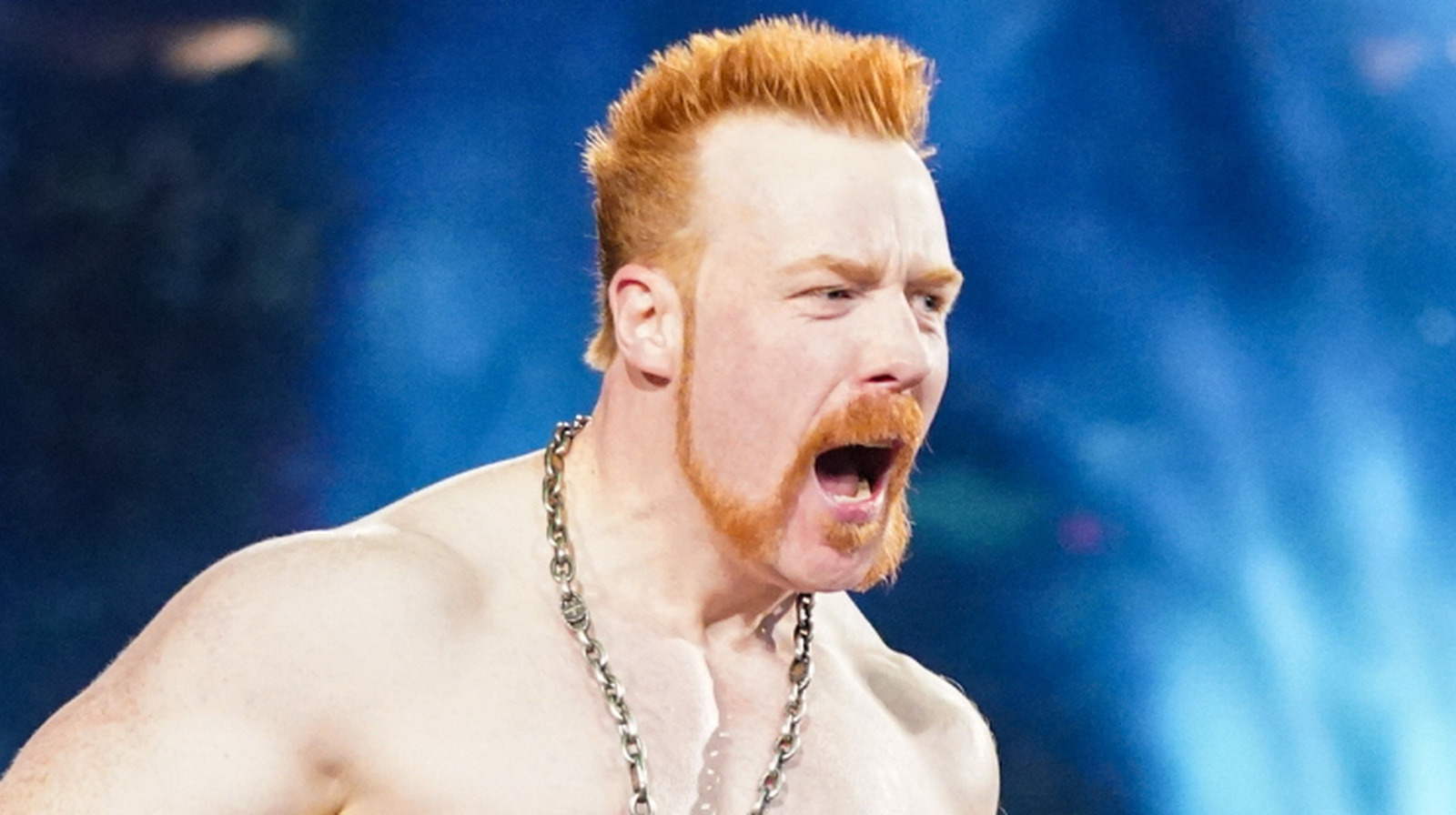 WWE's Sheamus Teases Guest Like Fans Have Never Seen On Celtic Warrior ...
